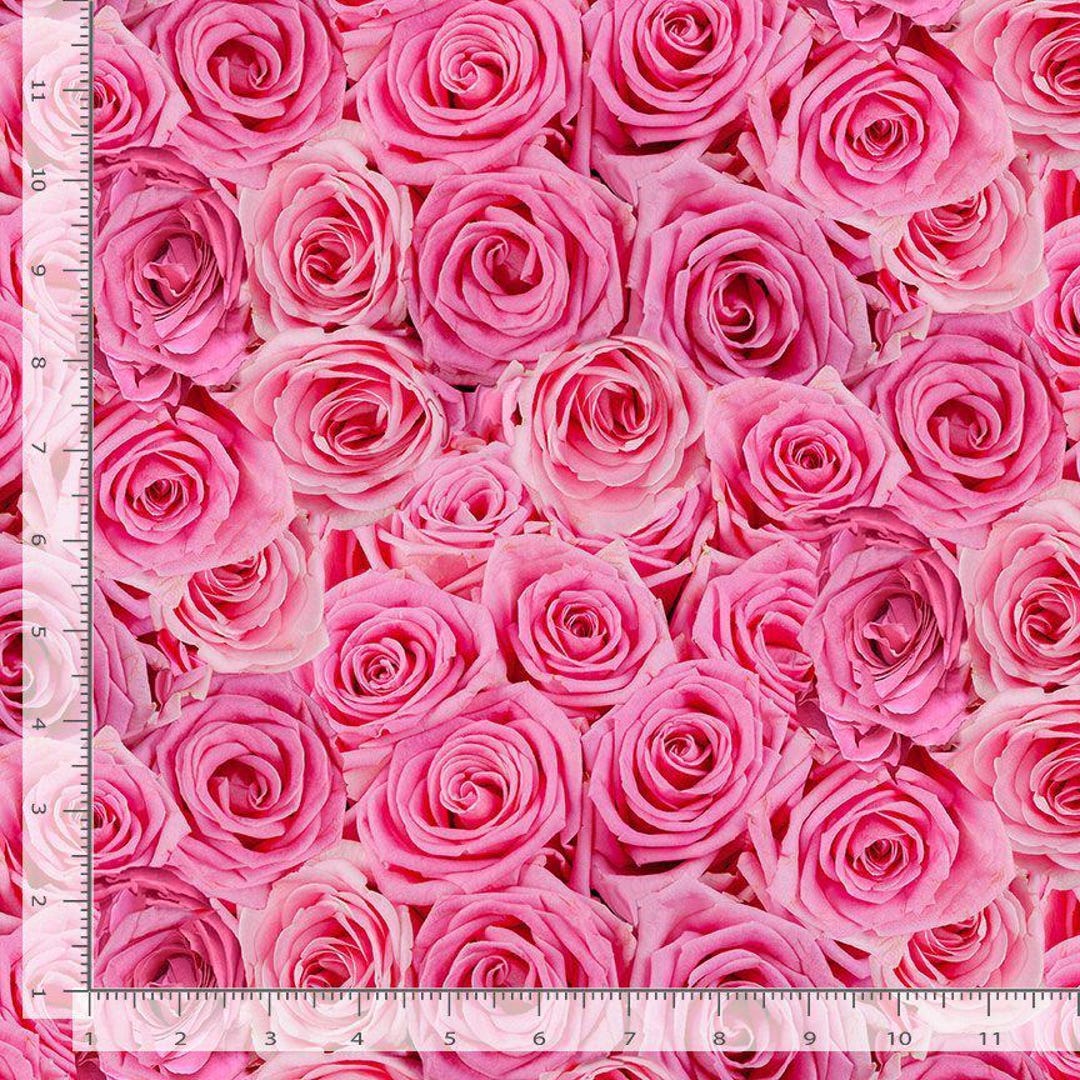 Pink Roses Bellerose Collection by Timeless Treasures Floral Blender ...