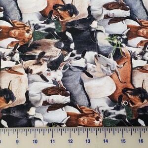 Goats on Black Fabric / Farm Animals Fabric / Elizabeth's Studios 434 ...