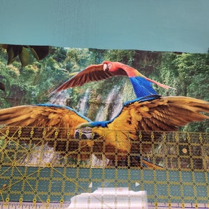 Amazon Birds Fabric Panel Call of the Wild Parrot Panel 34.5" X 43" by ...