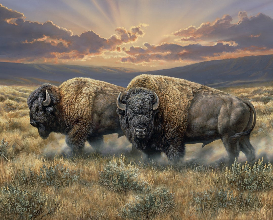 Bison Panel, Dusty Plains Buffalo Fabric Panel Size is 36" X 43" David ...
