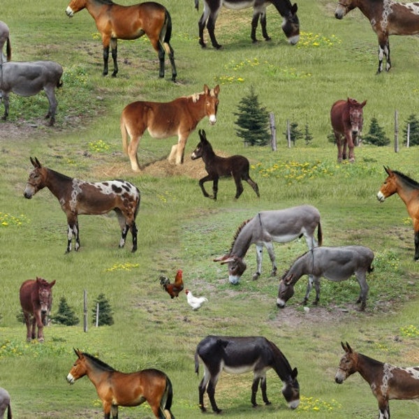 Donkey Quilt Fabric - Etsy