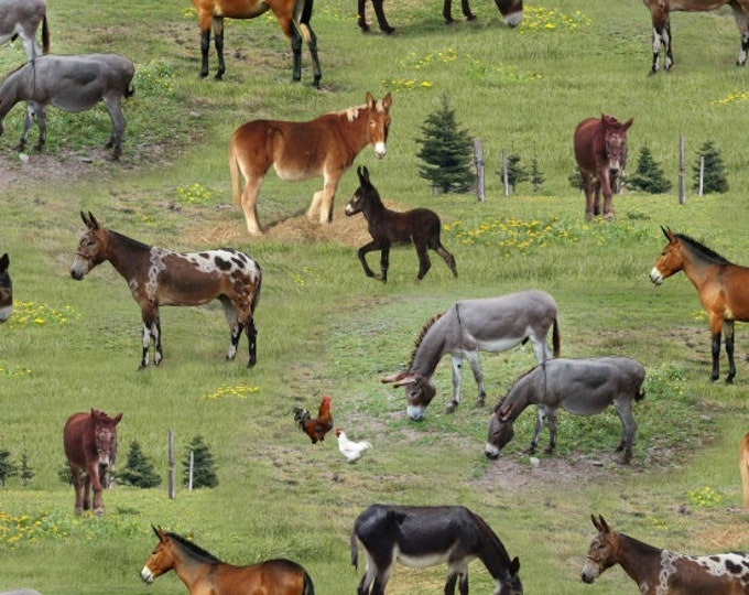 Donkey Fabric by the Yard / Farm Animal Fabric / Donkey Fabric ...