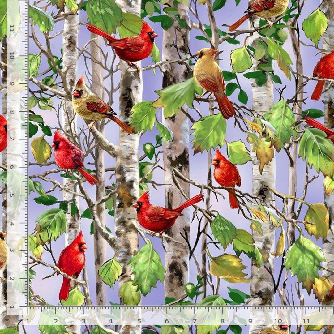 Cardinal on a Birch Tree Spring Song Fabric by the Yard / Birch Tree ...