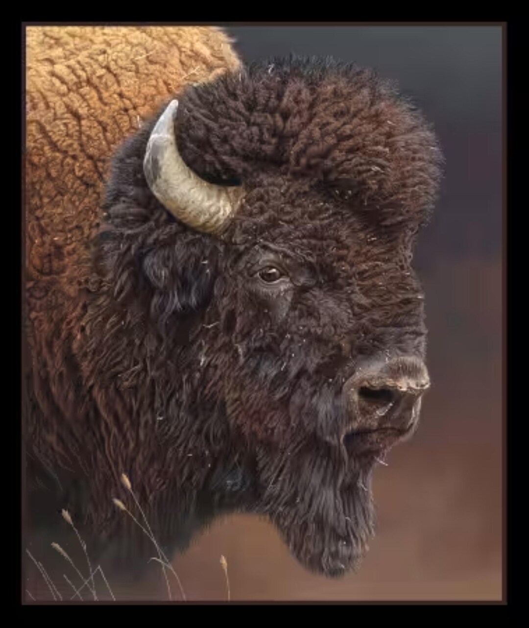 Bison Panel - Bison Bull's Eye 36" Panel Buffalo Roam by Elizabeth's ...