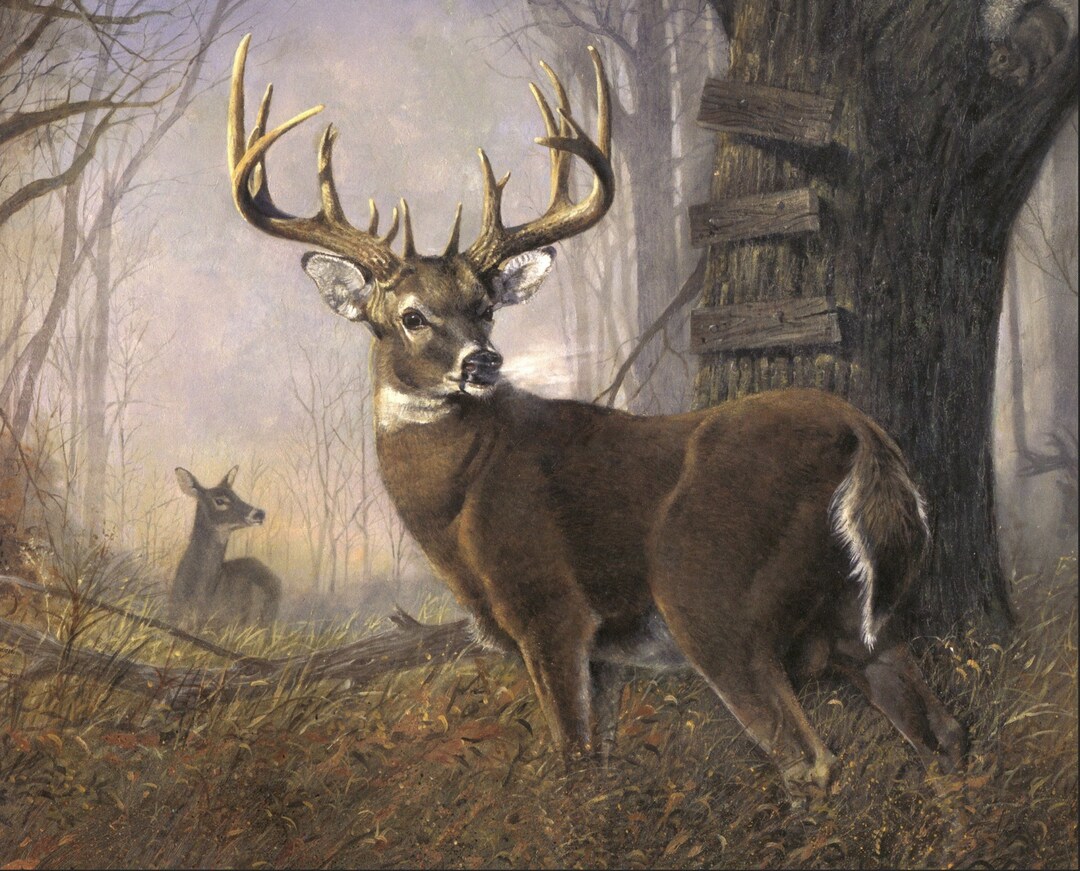 Buck and Doe White Tail Deer Impending Challenge 36" Deer Panel by ...