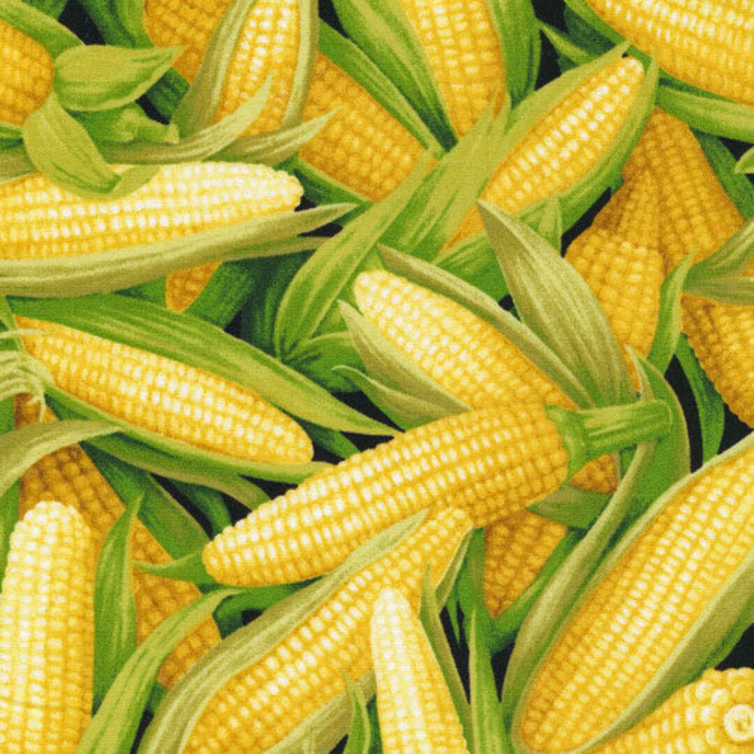 Corn Fabric / Food Fabric / Farmer John Garden Party Ears of Corn ...