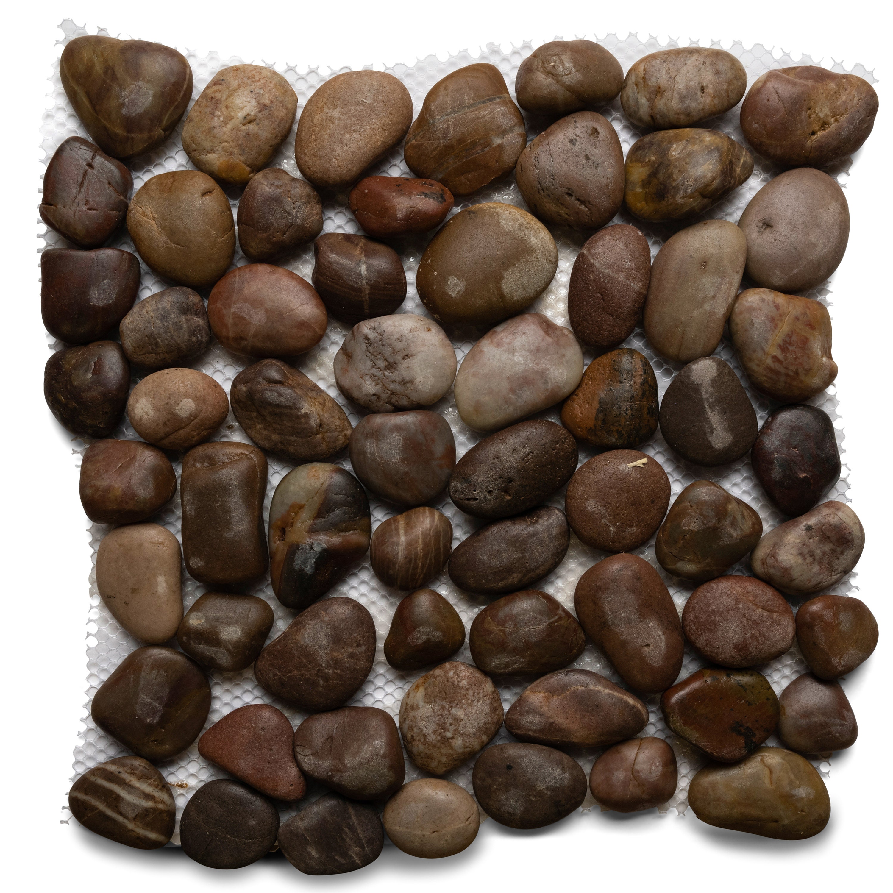 CNK Tile Polished Red Pebble Tile With Mesh Backing Natural River ...