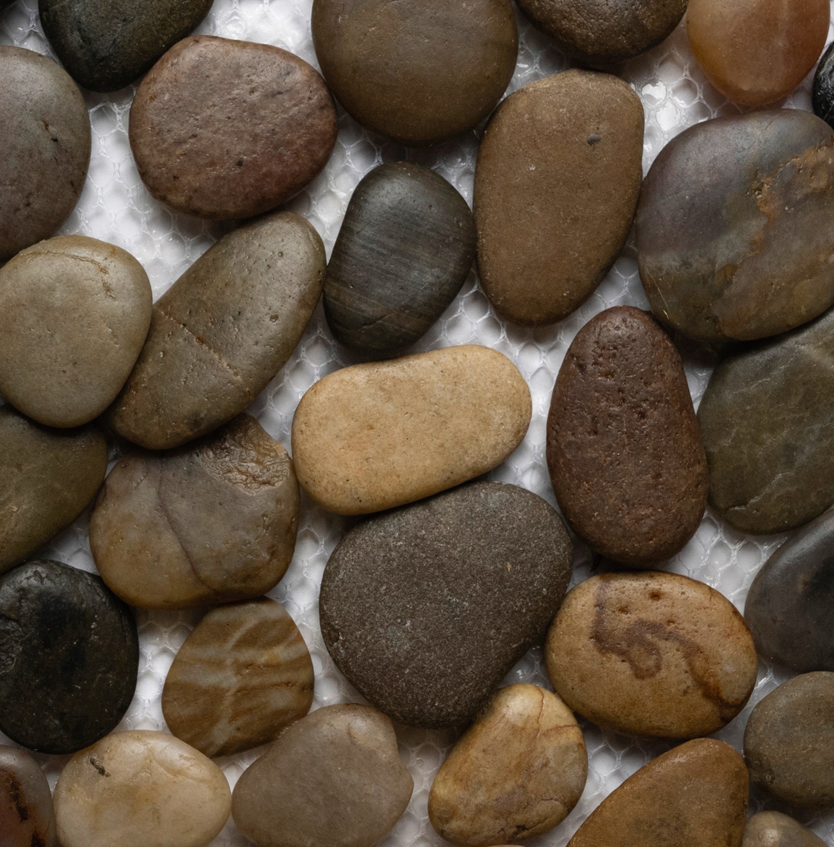 CNK Tile Natural Stone Polished Cobblestone Pebble Tile 12” X 12” River ...