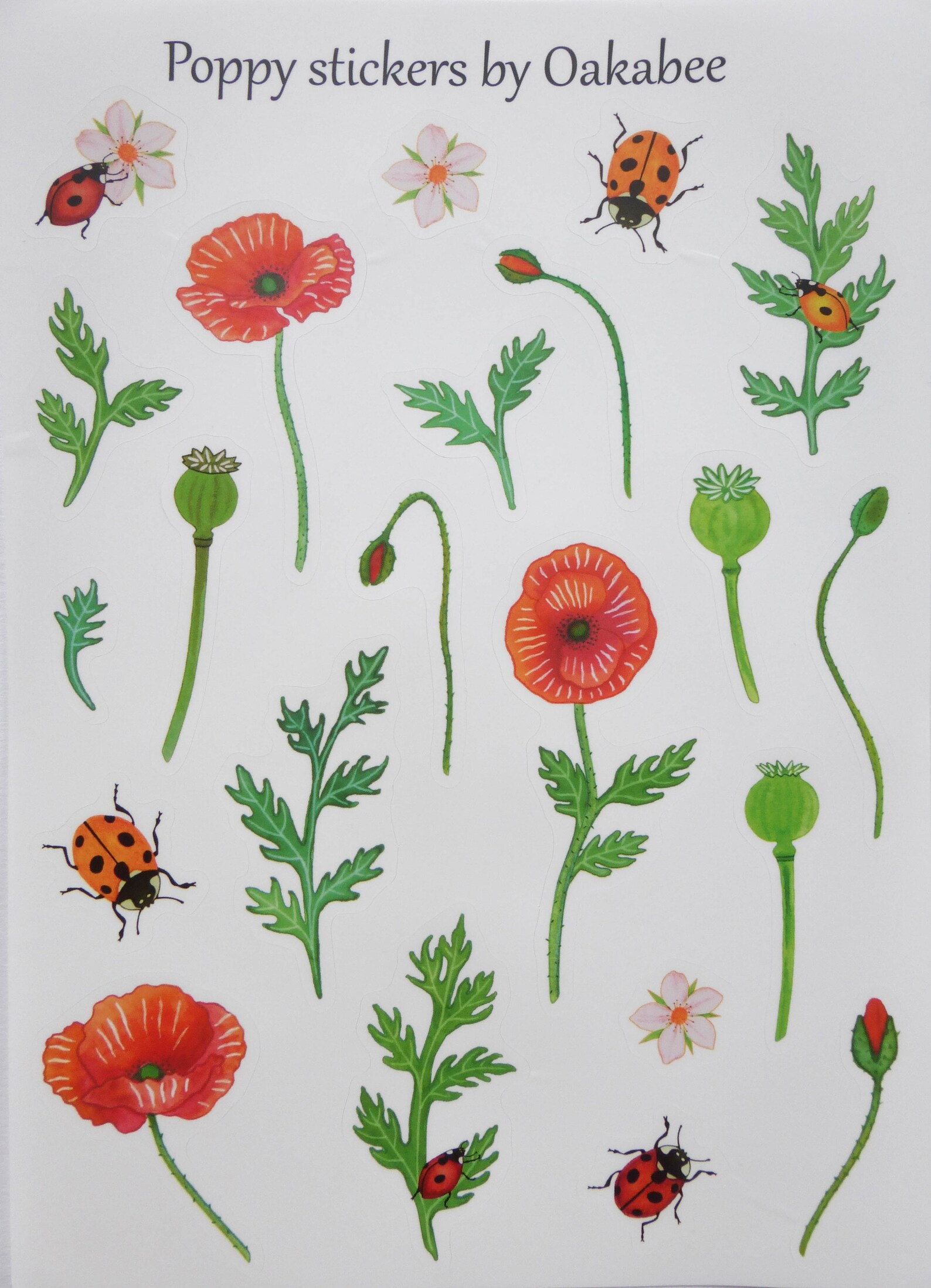 Poppies Sticker Sheet A5 - Etsy