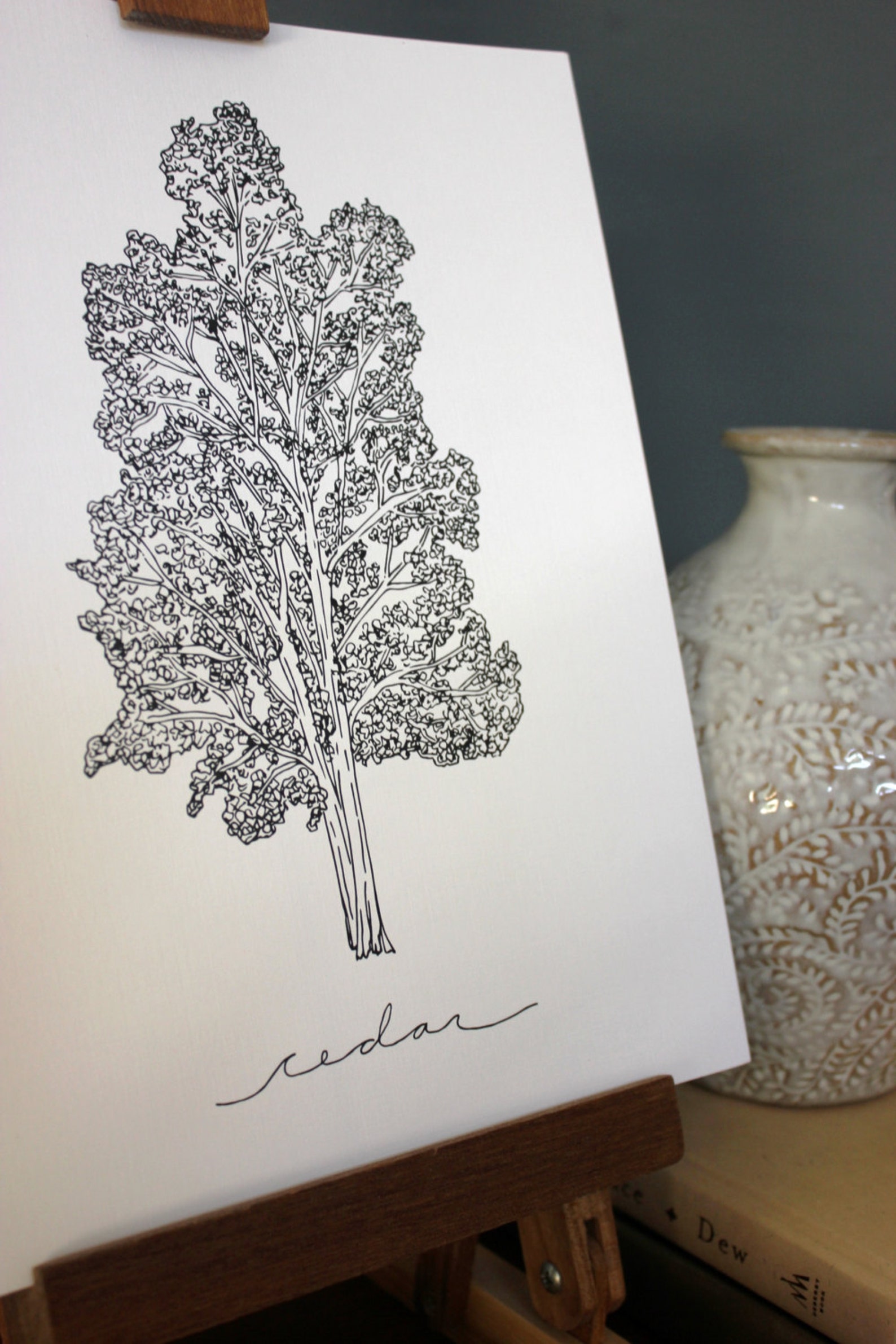 Cedar Tree Line Drawing, Reproduction From Original Ink Drawing - Etsy