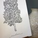 Cedar Tree Line Drawing, Reproduction From Original Ink Drawing - Etsy
