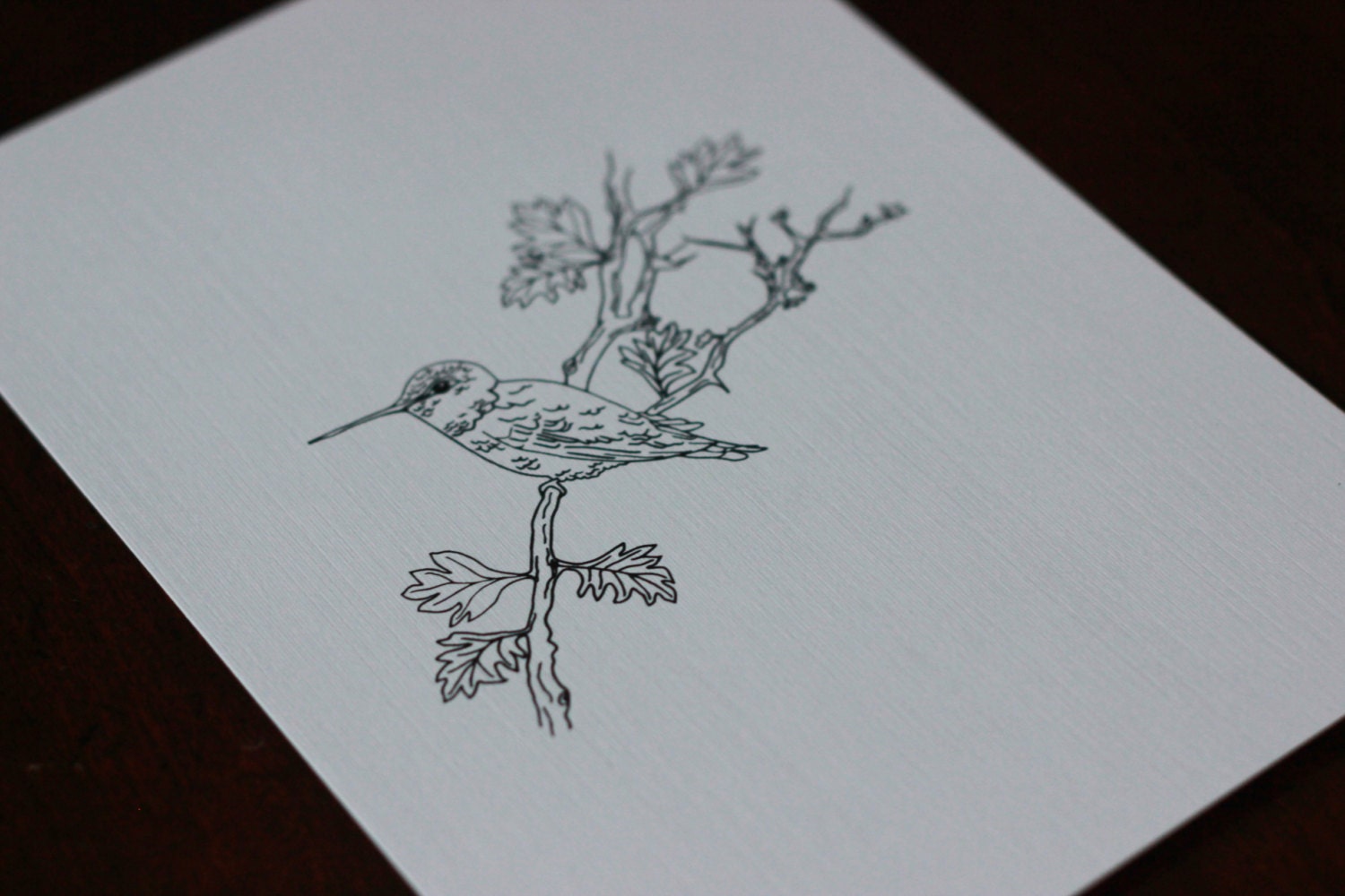 Hummingbird Drawing, Reproduction From Original Ink Drawing - Etsy