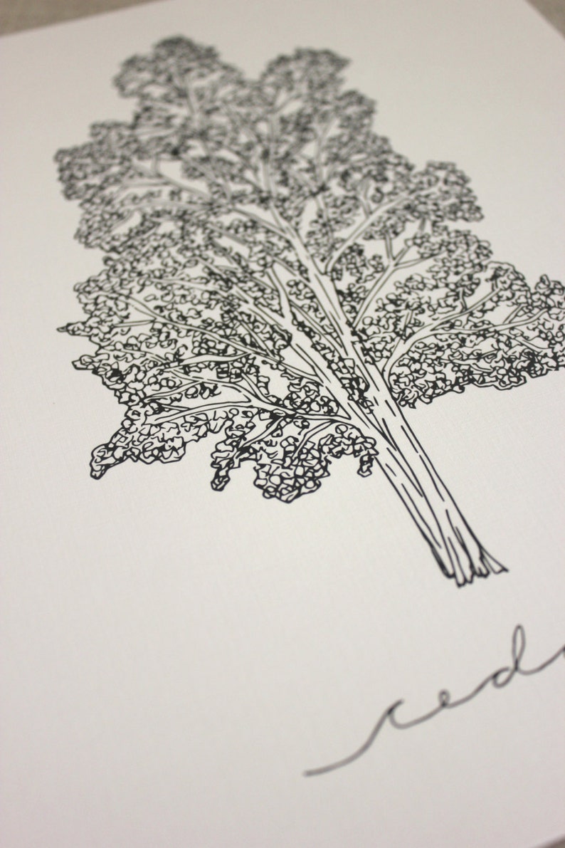 Cedar Tree Line Drawing Reproduction From Original Ink - Etsy