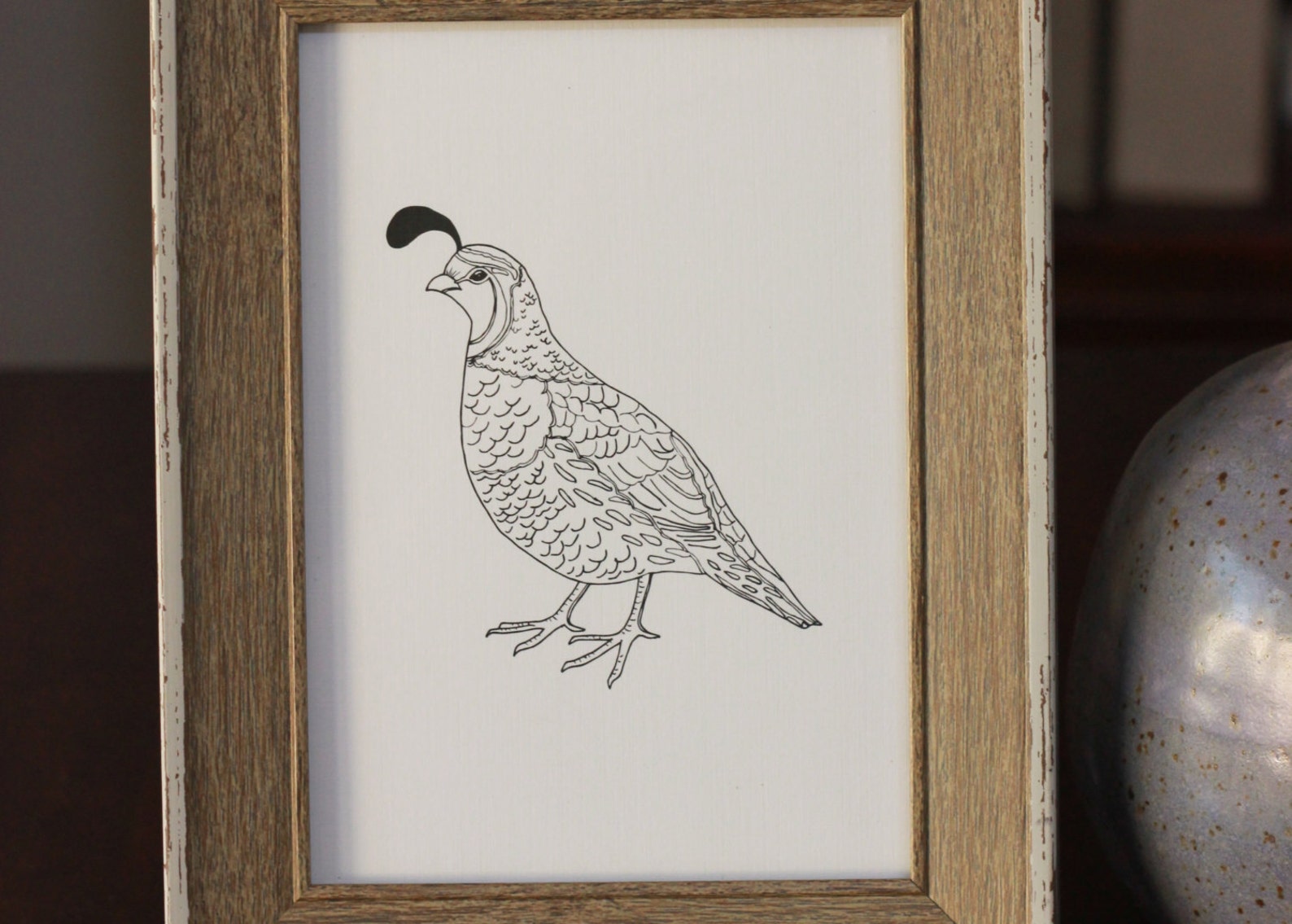 Quail Drawing, Reproduction From Original Ink Drawing - Etsy