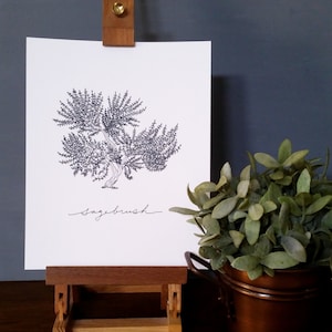 Sagebrush Line Drawing, Reproduction From Original Ink Drawing - Etsy