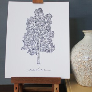 Cedar Tree Line Drawing, Reproduction From Original Ink Drawing - Etsy