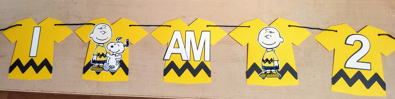 Charlie Brown Photo Banner Peanuts Birthday Banner Charlie - Etsy