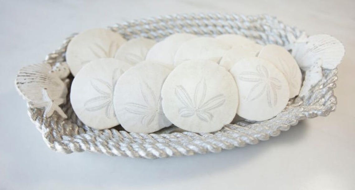 Dollars de sable / Coquillages de mer de dollar de sable / | Etsy