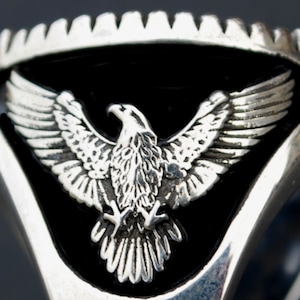 US 2016 North Dakota Theodore Roosevelt National Park Quarter 90% ...