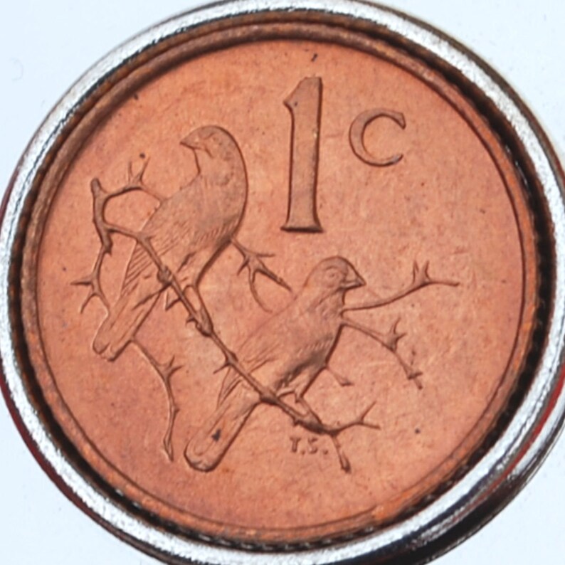 1966 South Africa 1 Cent BU Uncirculated Coin Silver Plated - Etsy