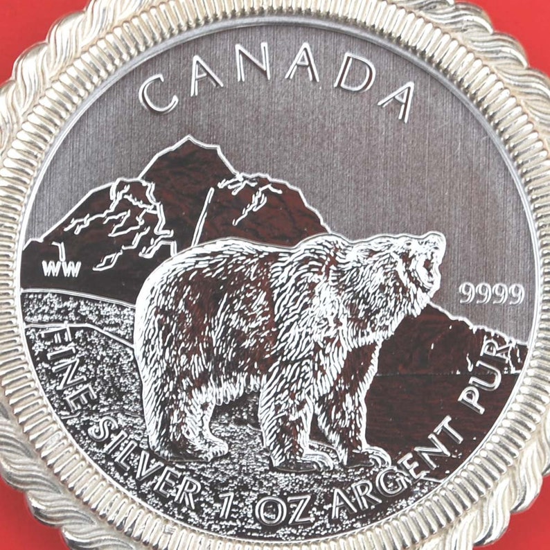2011 Canada .9999 Fine Silver 1 Oz Argent Pur 5 Dollars - Etsy