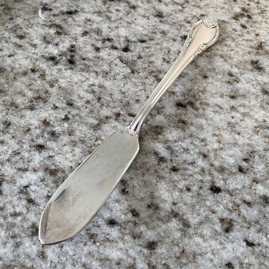 Master Butter Spreader, 1847 Rogers Remembrance, IS, by INTERNATIONAL ...