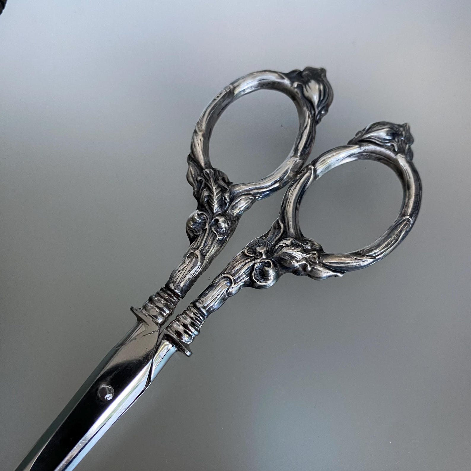 Vintage Sterling Silver Art Nouveau Embroidery Scissors: Griffon Floral ...