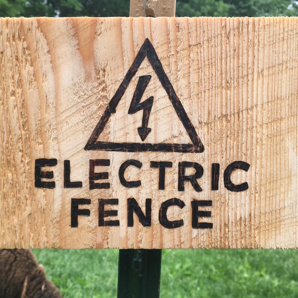 Electric Fence - Etsy