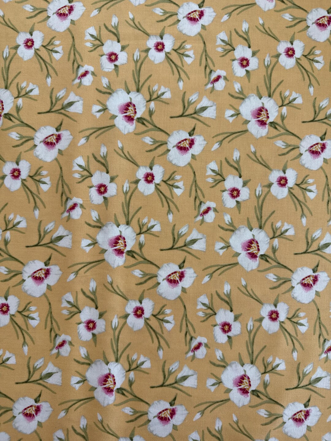 Riley Blake the Beehive State and Utah Panels Honey Sego Lily BTY by ...