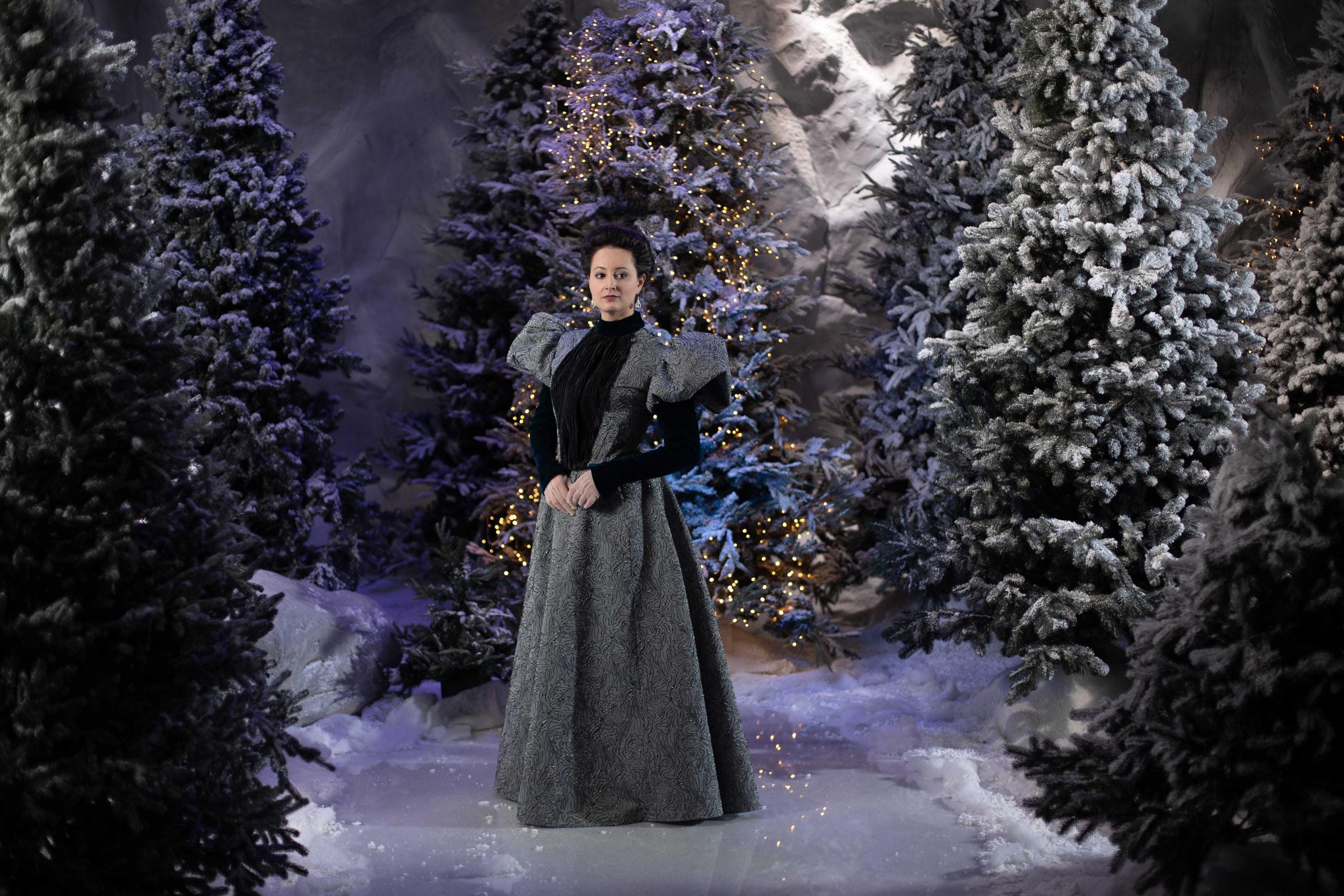 1890s Christmas Gown, Edwardian Festive Sparkling Dress, Belle Epoque ...