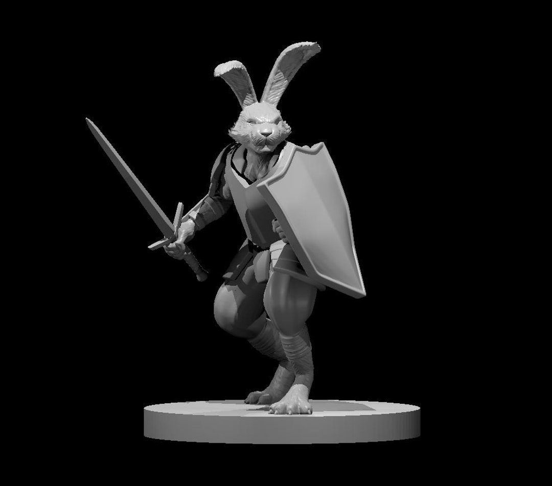 Harengon Adventurer | Wild Beyond Witchlight | Dnd 5e Tabletop Mini ...