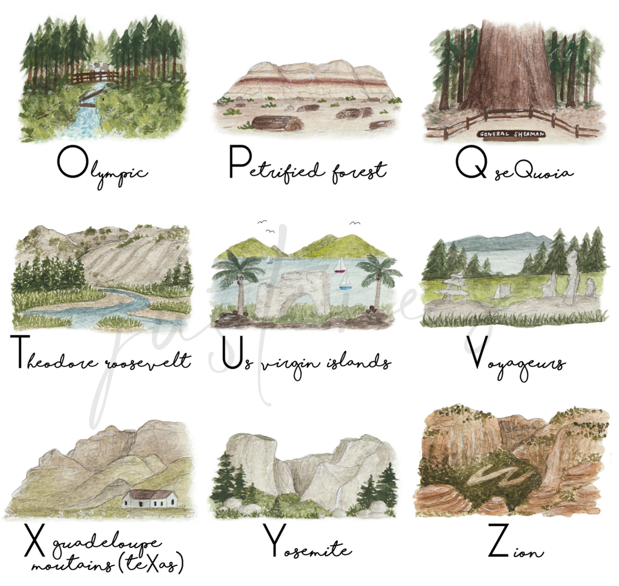 National Park Alphabet illustrations - Etsy