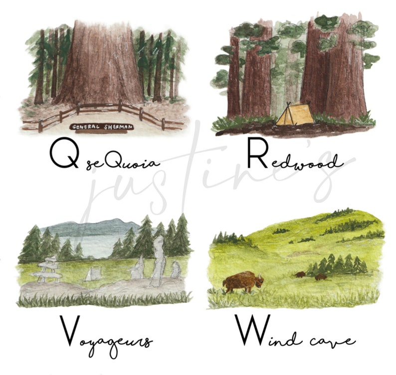 National Park Alphabet illustrations - Etsy