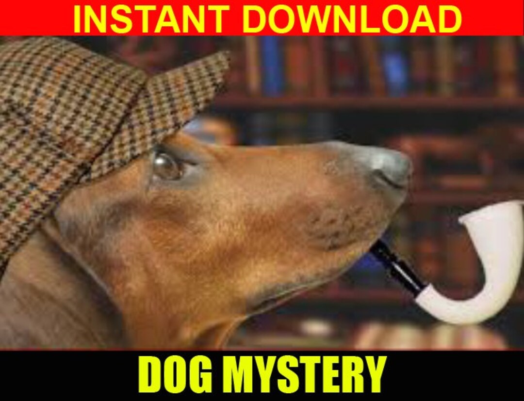 Dog Mystery Game , Kids Party Game , Teacher Resource , Kids Mystery ...