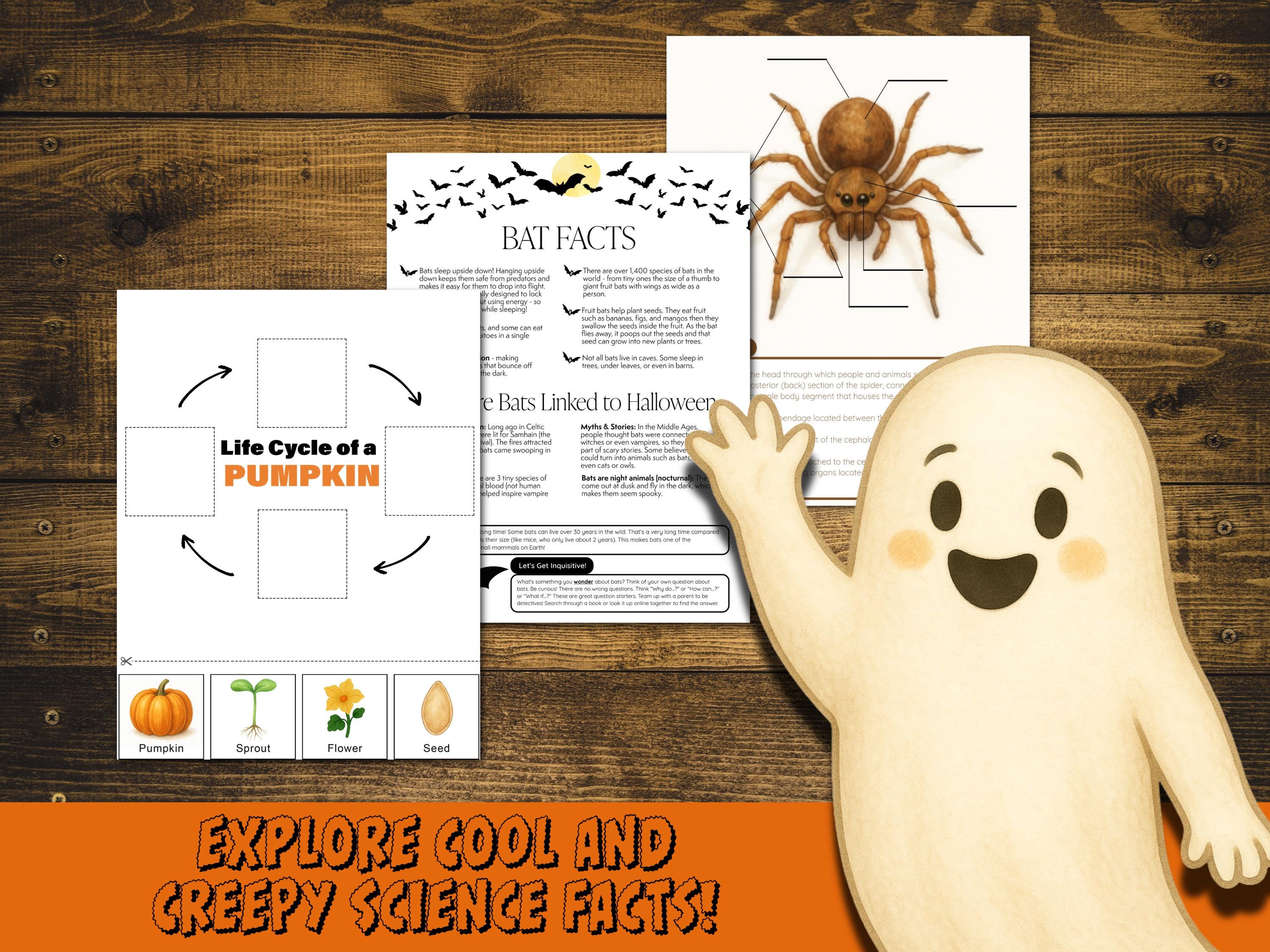 Halloween Unit Study: History, Math, Art - Ages 4-9 (digital Download ...