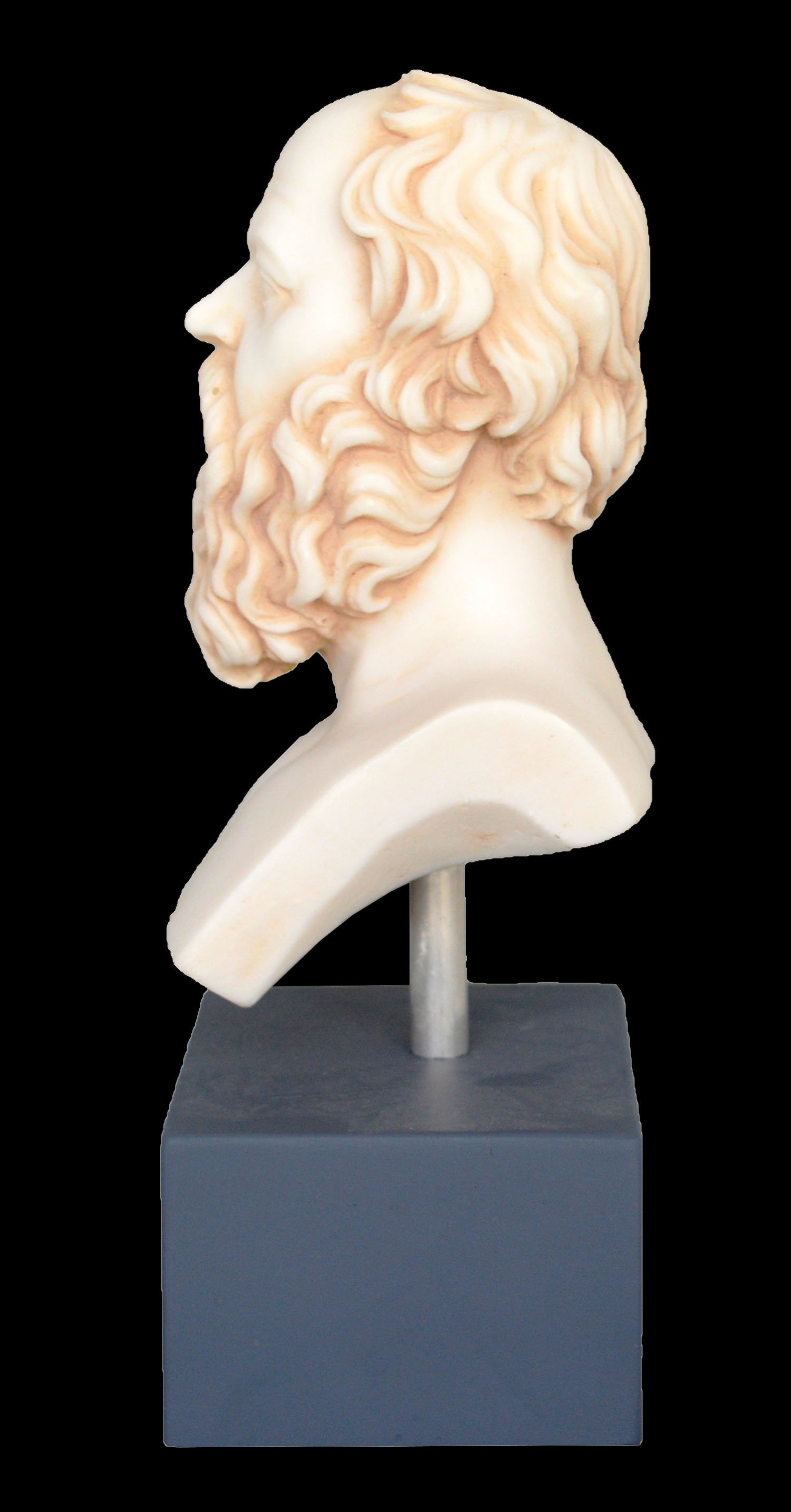 Socrates Bust Statue Western Philosophy Plato Aristotle | Etsy