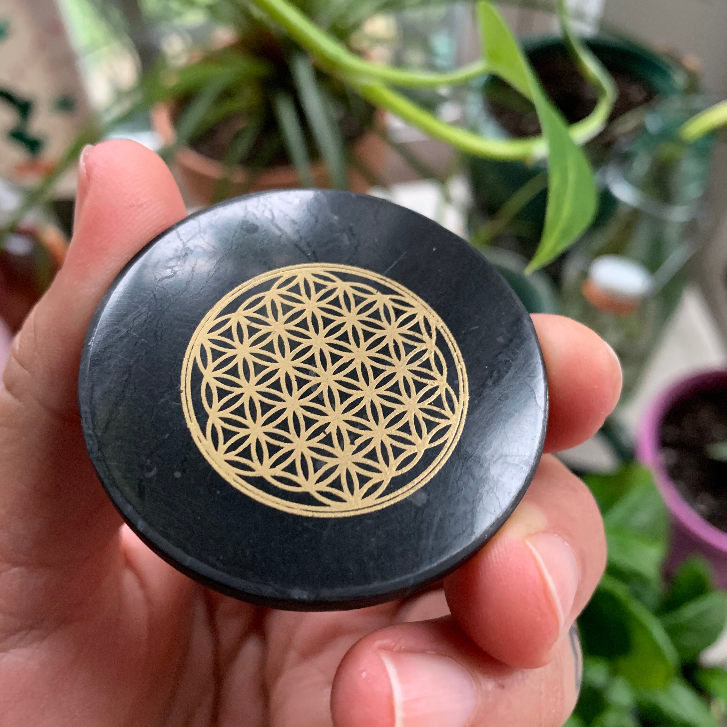 Shungite Magnet | Flower of Life Magnet | EMF Protection | Reiki Love ...