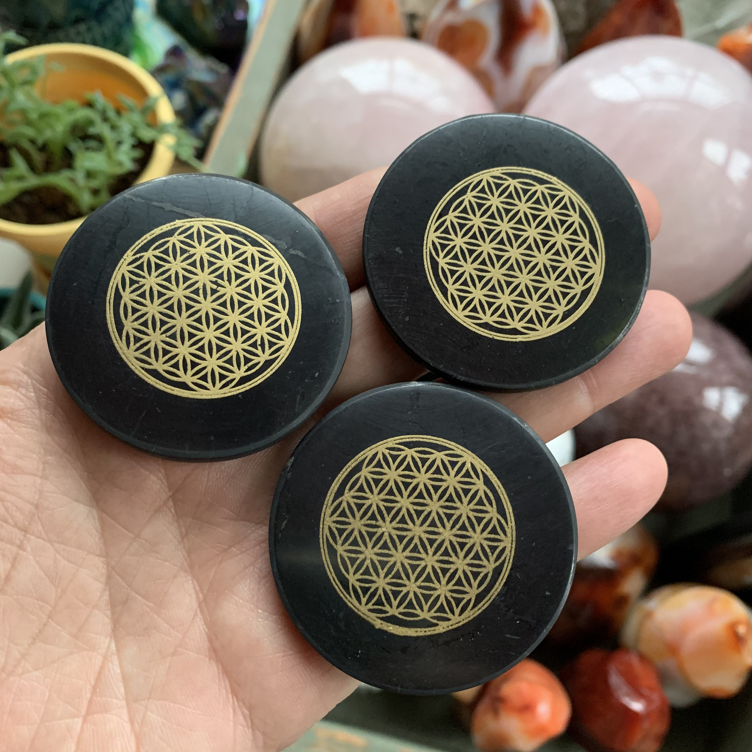 Shungite Magnet | Flower of Life Magnet | EMF Protection | Reiki Love ...