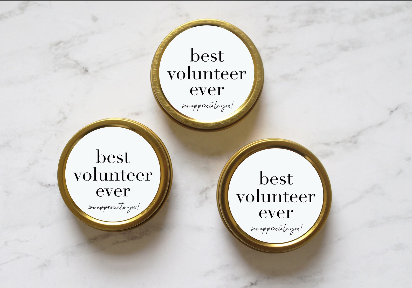 Best Volunteer Ever Appreciation Gifts Bulk Thank You Gifts - Etsy