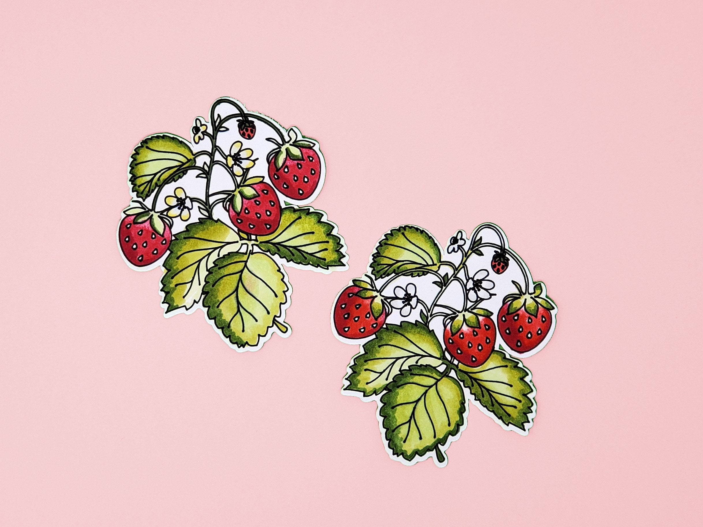 Single Line Strawberry Drawing File SVG Digital Download - Etsy