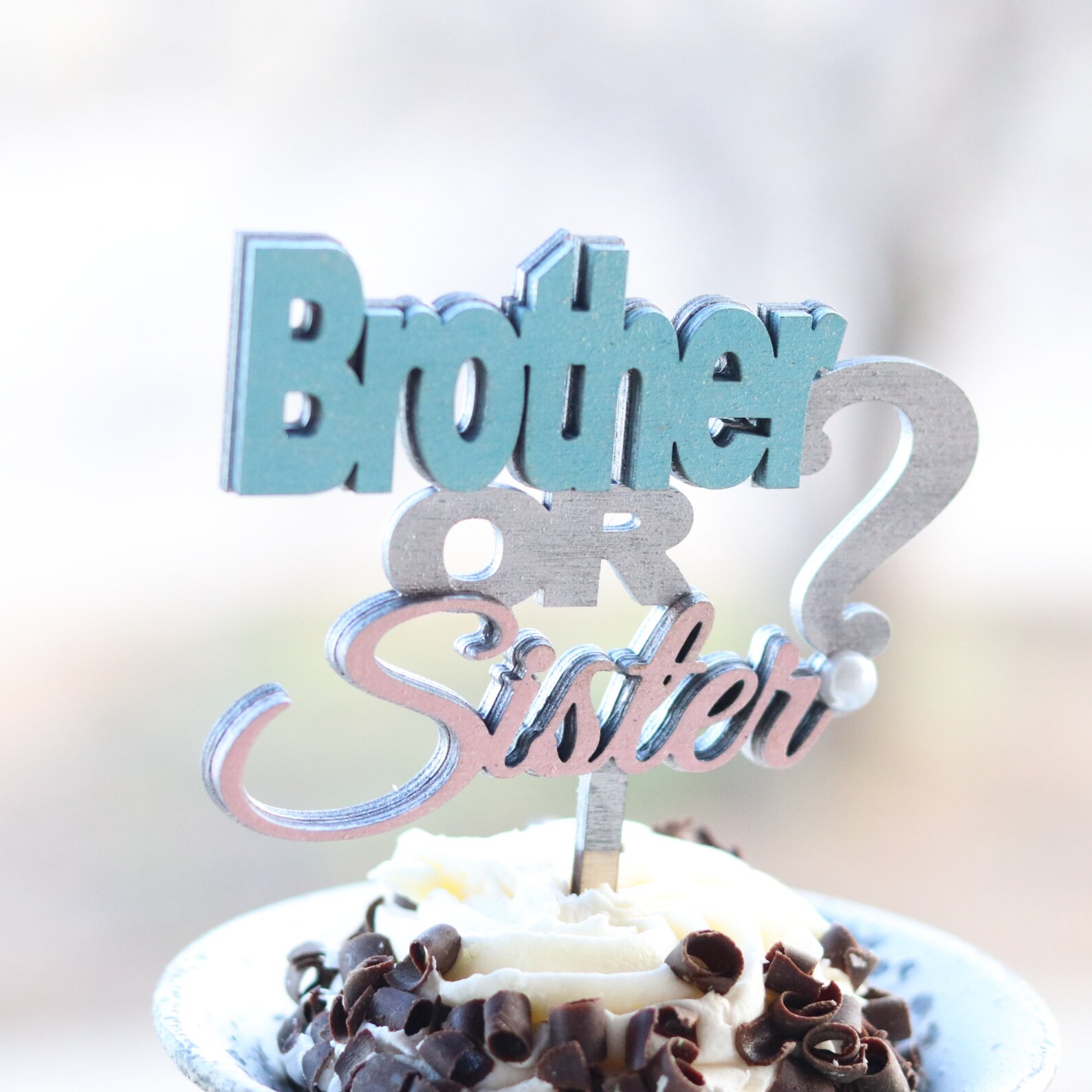 Baby Cupcake Toppers Brother or Sister Baby Gender Cupcakes - Etsy