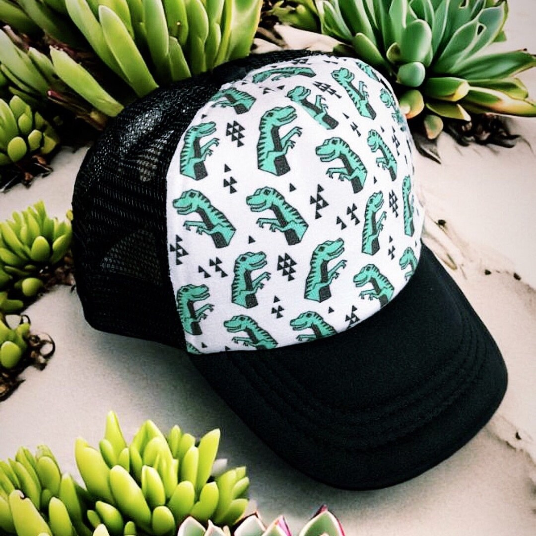 Dinosaur, Dinosaurs, Dinosaur Gift, Dinosaur Hat, Dinosaur Fashion ...