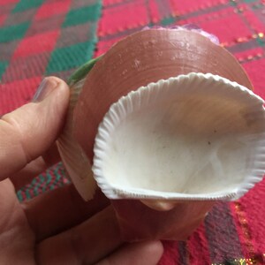 Shell Art, Shell Bird, Beach Sculpture, Shell Sculpture, Beach Decor ...