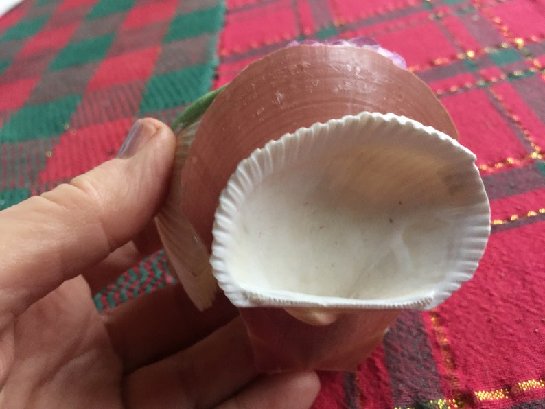 Shell Art Shell Bird Beach Sculpture Shell Sculpture Beach | Etsy