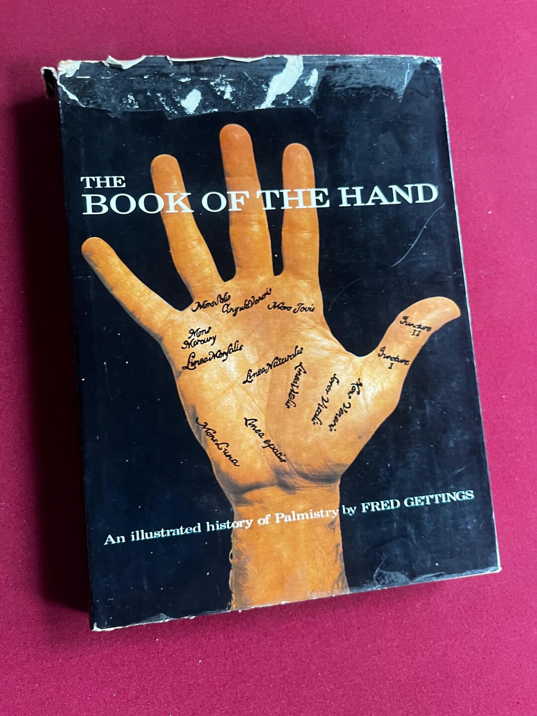 Palm Reading, Fortune Telling, Palm Book, Hand Book, Palmistry ...