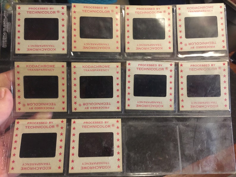 Flower Photos Retro Photo Slide Kodachrome Technicolor | Etsy