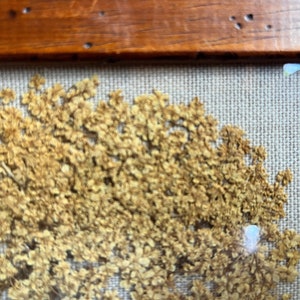 Tree Art, Dried Flower Art, Frame Tree Art, Nature Art, Tree Wall Art ...