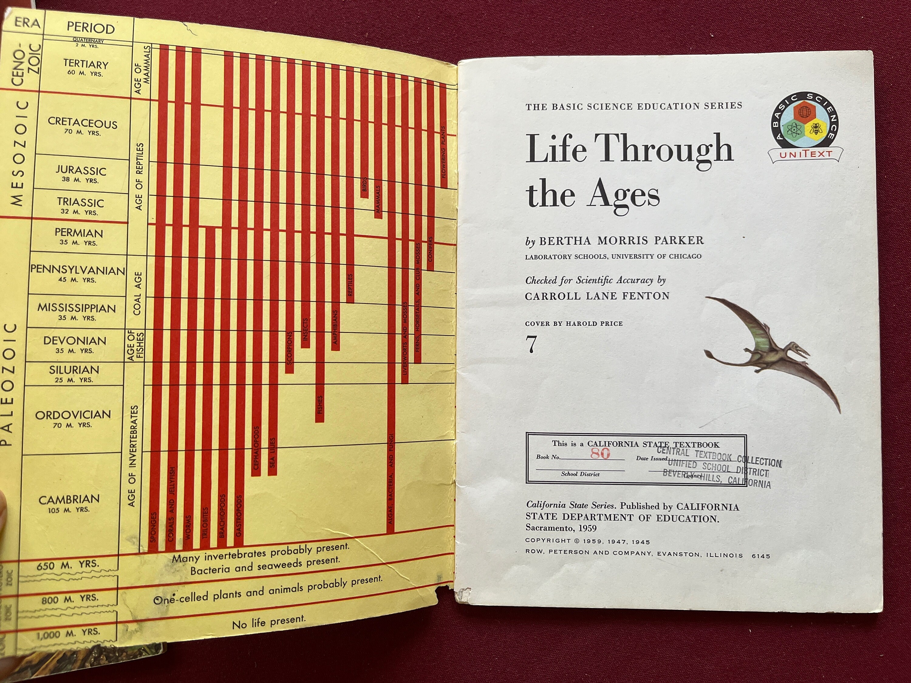 Science Book Dinosaur Book Retro Science Book School - Etsy