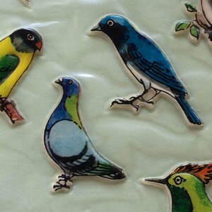 Bird Label, Bird Ephemera, Bird Sticker, Bird Art, Retro Bird, Japan ...