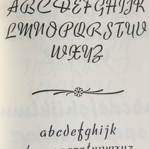 Script Fonts, Display Fonts, Typographic Collection, Font Collection ...